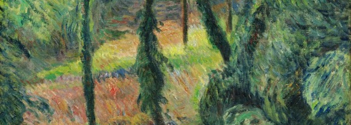 Ananda Foundation N.V.